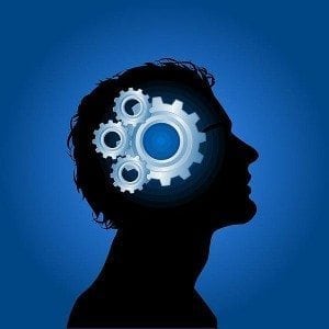 What's The Neuroscience Behind Safe Behaviour?