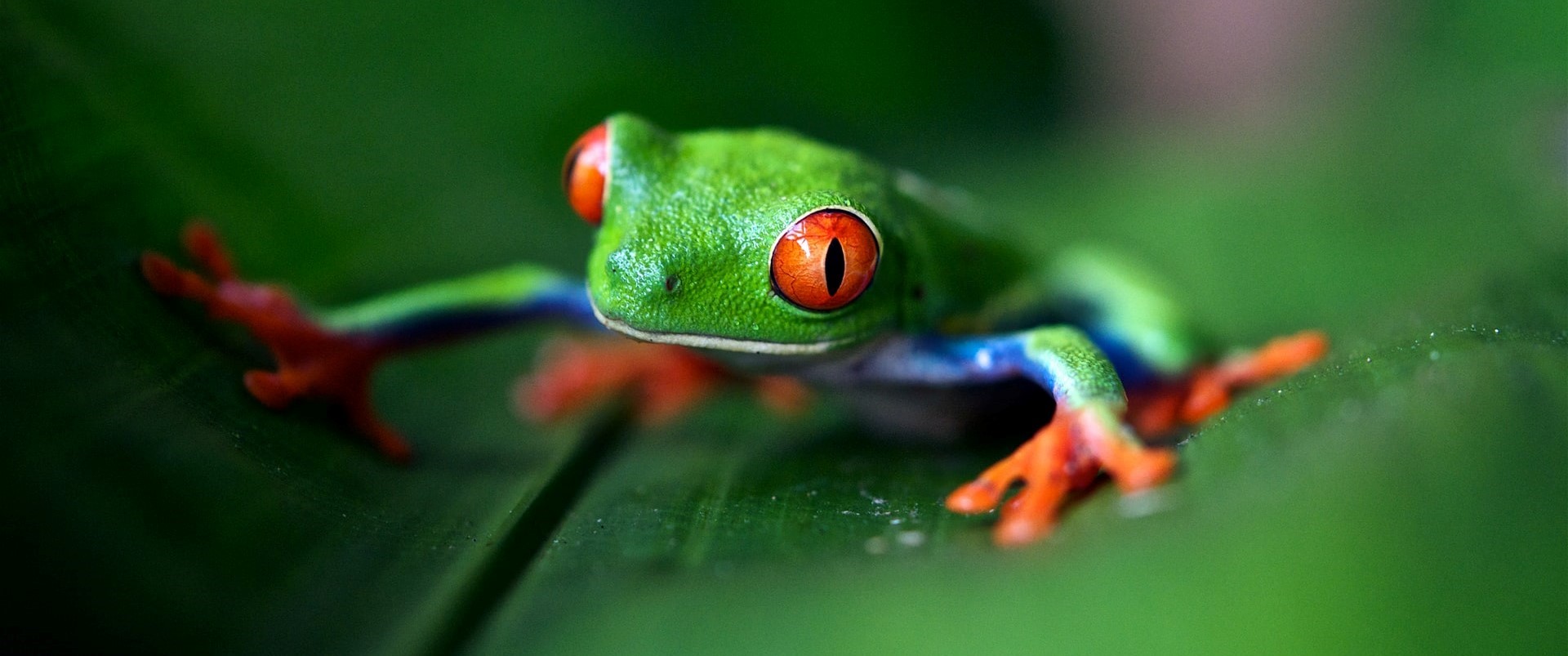 Safety Dimensions Blog | Safety Dimensions RTO No. 122052 - Keeping ...